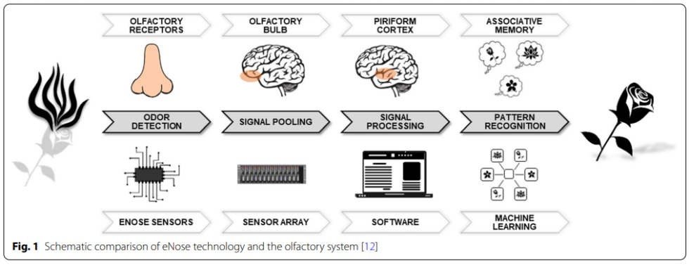 The smell of lung disease: a review of the current status of electronic ...