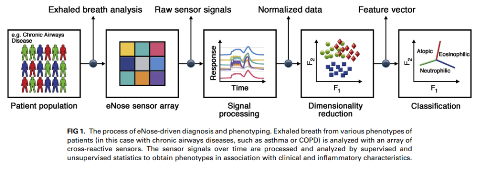 eNose breathprints as composite biomarker for real-time phenotyping of ...